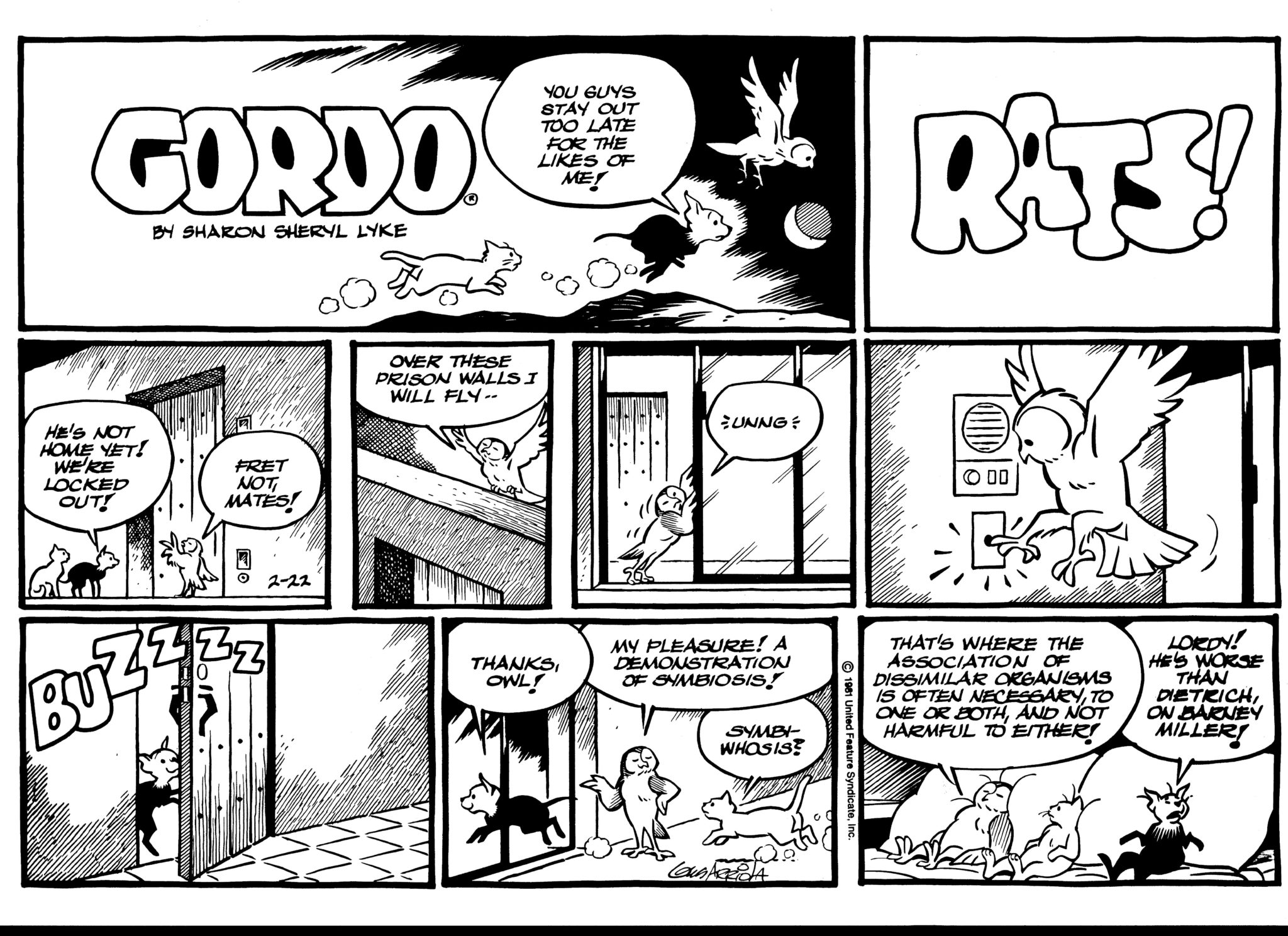 1981 SUNDAYS – WELCOME TO GORDO COMICS